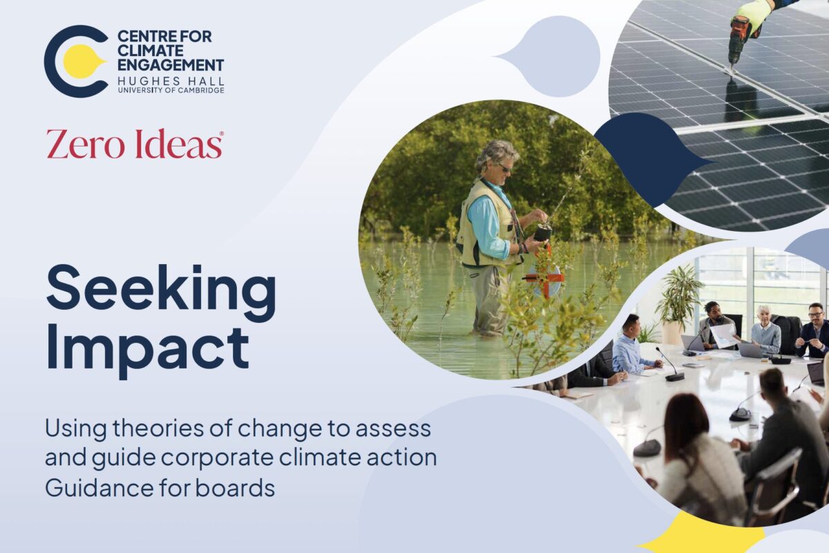 Leadership insight: Theories of change for corporate climate action ...